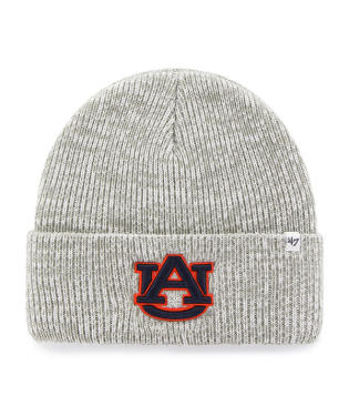 Gray Brain Freeze Beanie – Toomer's Drugs